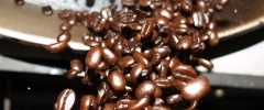 Jo Coffee Inc.: About Us